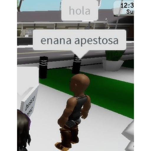 Roblox🤪
