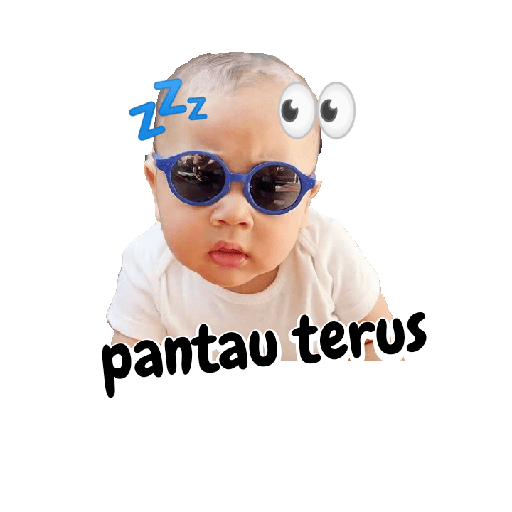 rayyanza cipung stiker