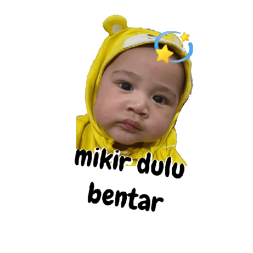 rayyanza cipung stiker