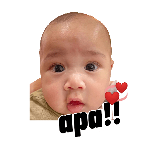 rayyanza cipung stiker