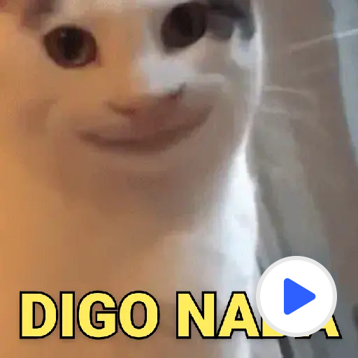 as melhores 😂😂😂