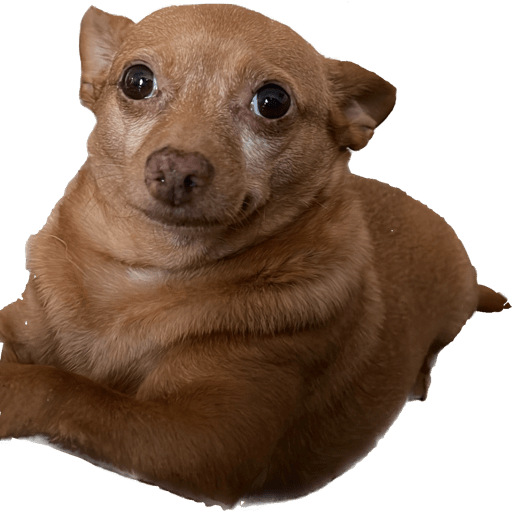 📓?⛓️ 𓂅? թ࣭𐓠?࣪𝗻?࣭𝗱?︩︪࣪ч