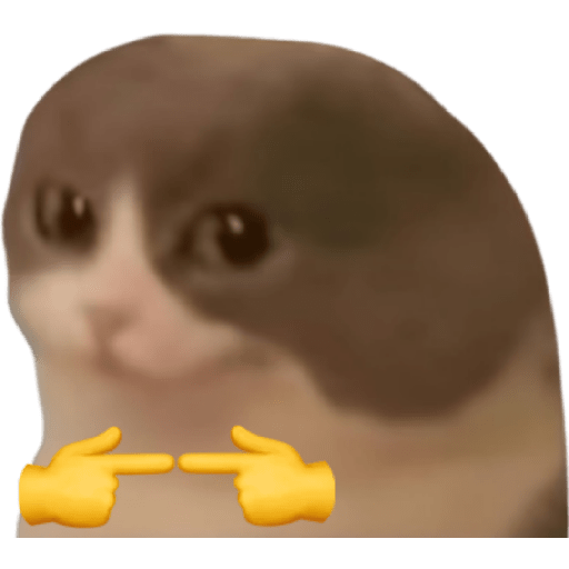 😸Gatos sin orejas 🐈