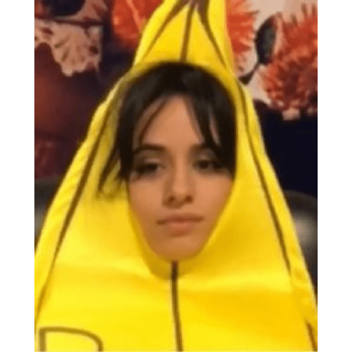 Memes Camila Cabello | 3